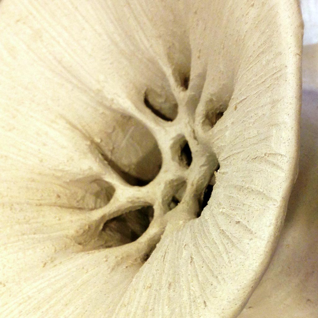 Jenni Ward ceramic sculpture | the dirt | Work in Progress: Bone Series