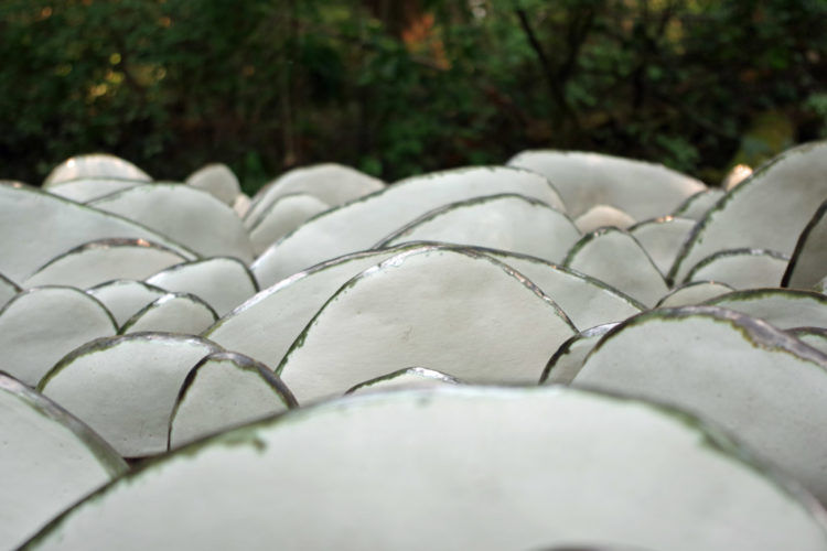 lichen series | spore patterns | public art | Jenni Ward ceramic sculpture