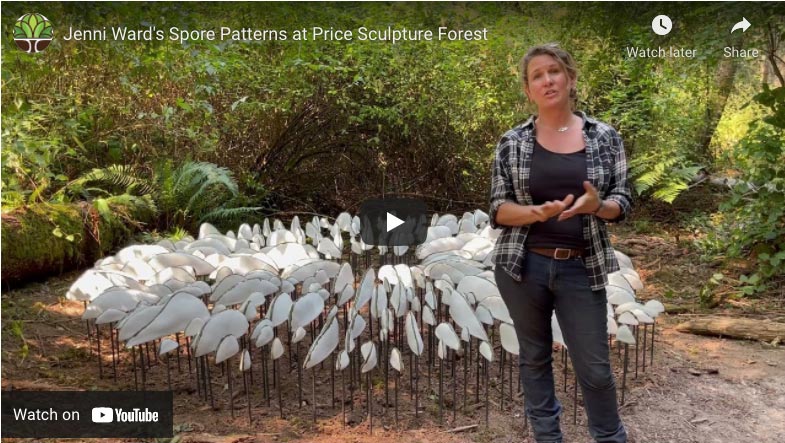 Video: Virtually Meeting the Artists | the dirt | Jenni Ward ceramic ...