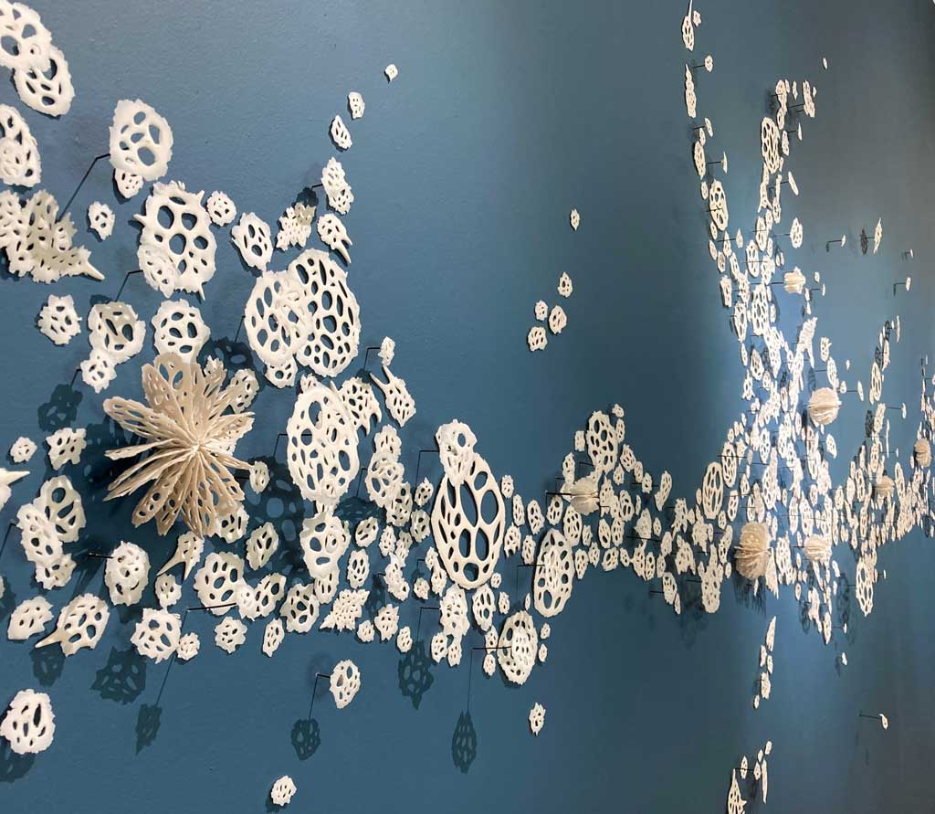 Video: Time Lapse of Plankton Bloom Installation | the dirt | Jenni ...