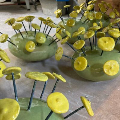 umbel updates! - Jenni Ward