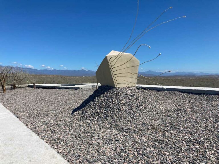 Jenni Ward ceramic sculpture | the dirt