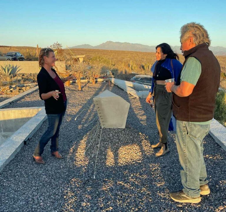 Jenni Ward ceramic sculpture | the dirt